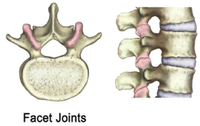 Facet Joint injections for back pain | Dr LEON CREANEY